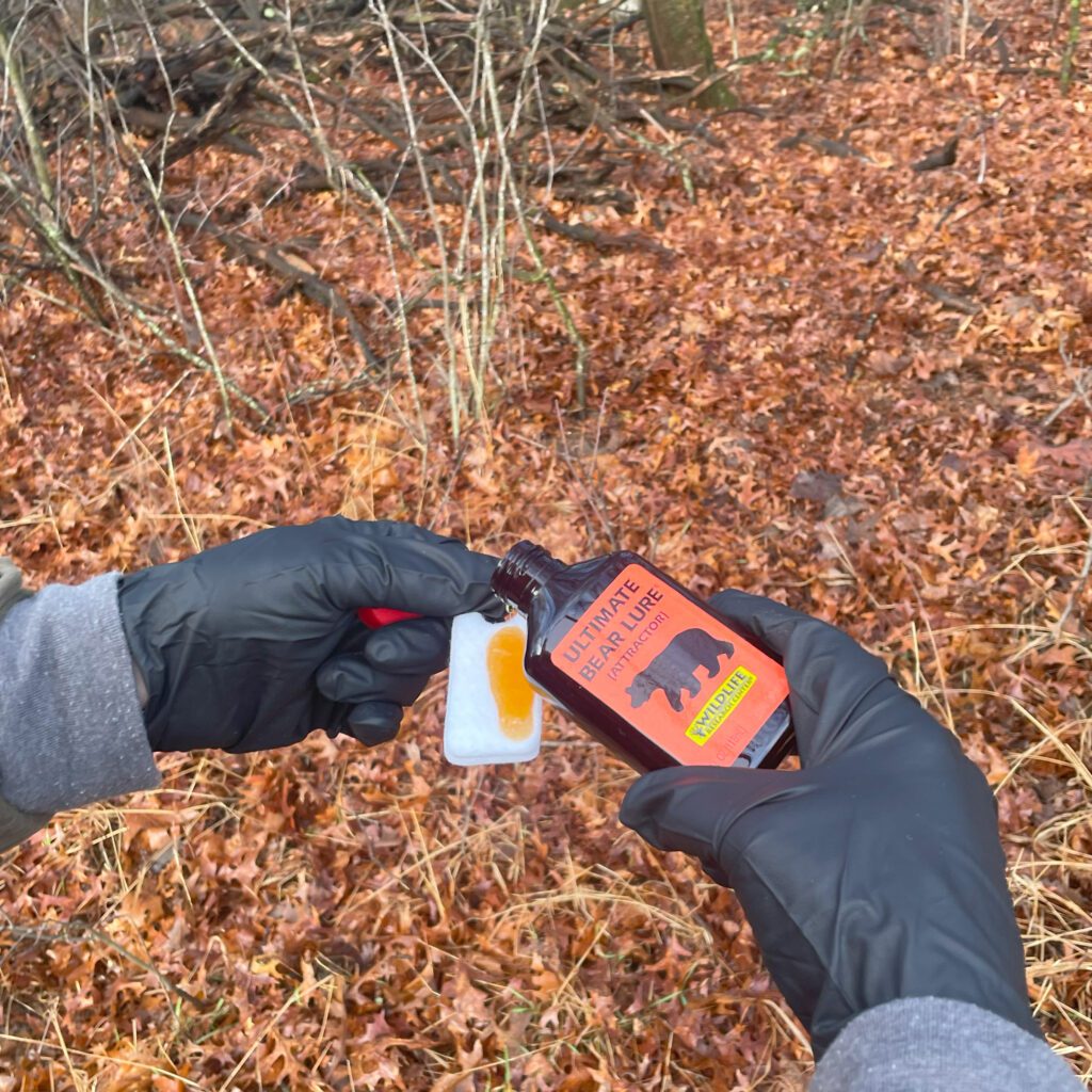 Ultimate Bear Lure® | Wildlife.com