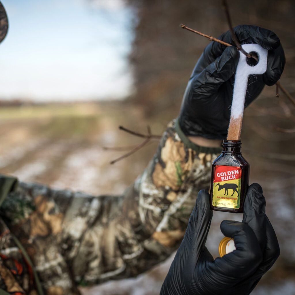 Golden Buck® | Wildlife.com