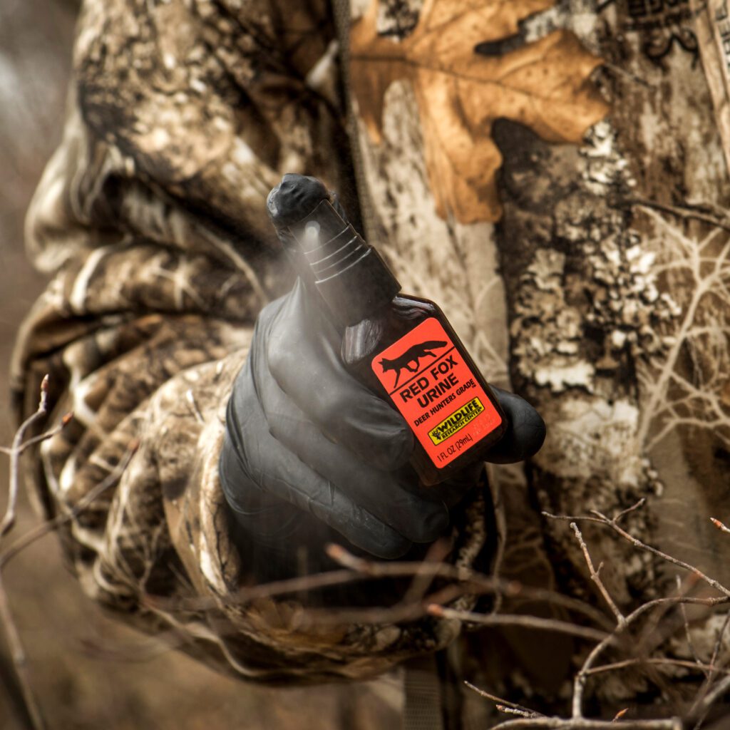 Red Fox Urine | Wildlife.com