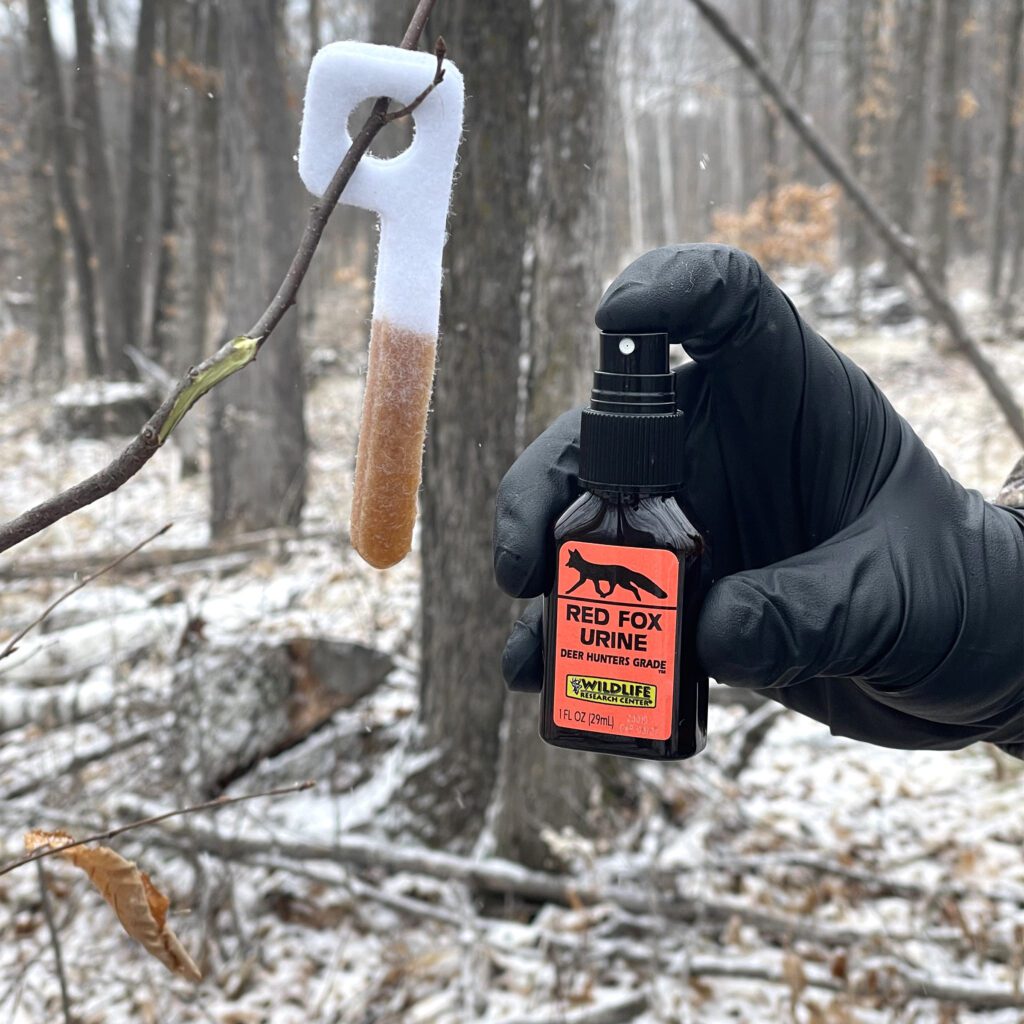 Red Fox Urine | Wildlife.com