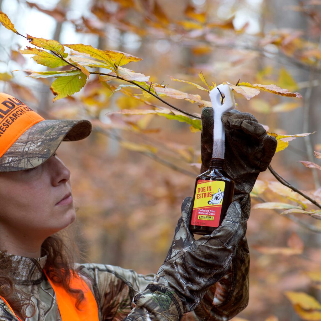 Doe in Estrus™ | Wildlife.com