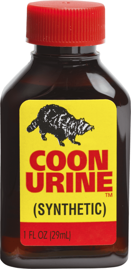 Coon Urine | Wildlife.com