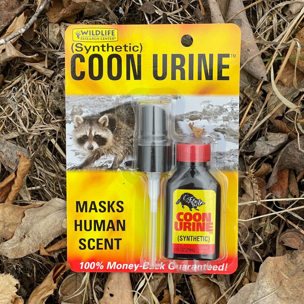Coon Urine | Wildlife.com