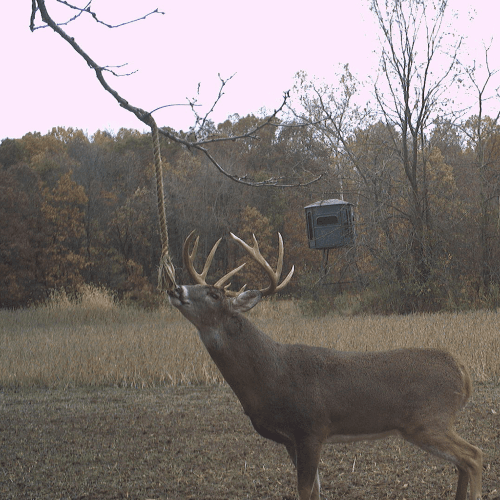 Golden Rope™ Scent Rope Kit | Wildlife.com